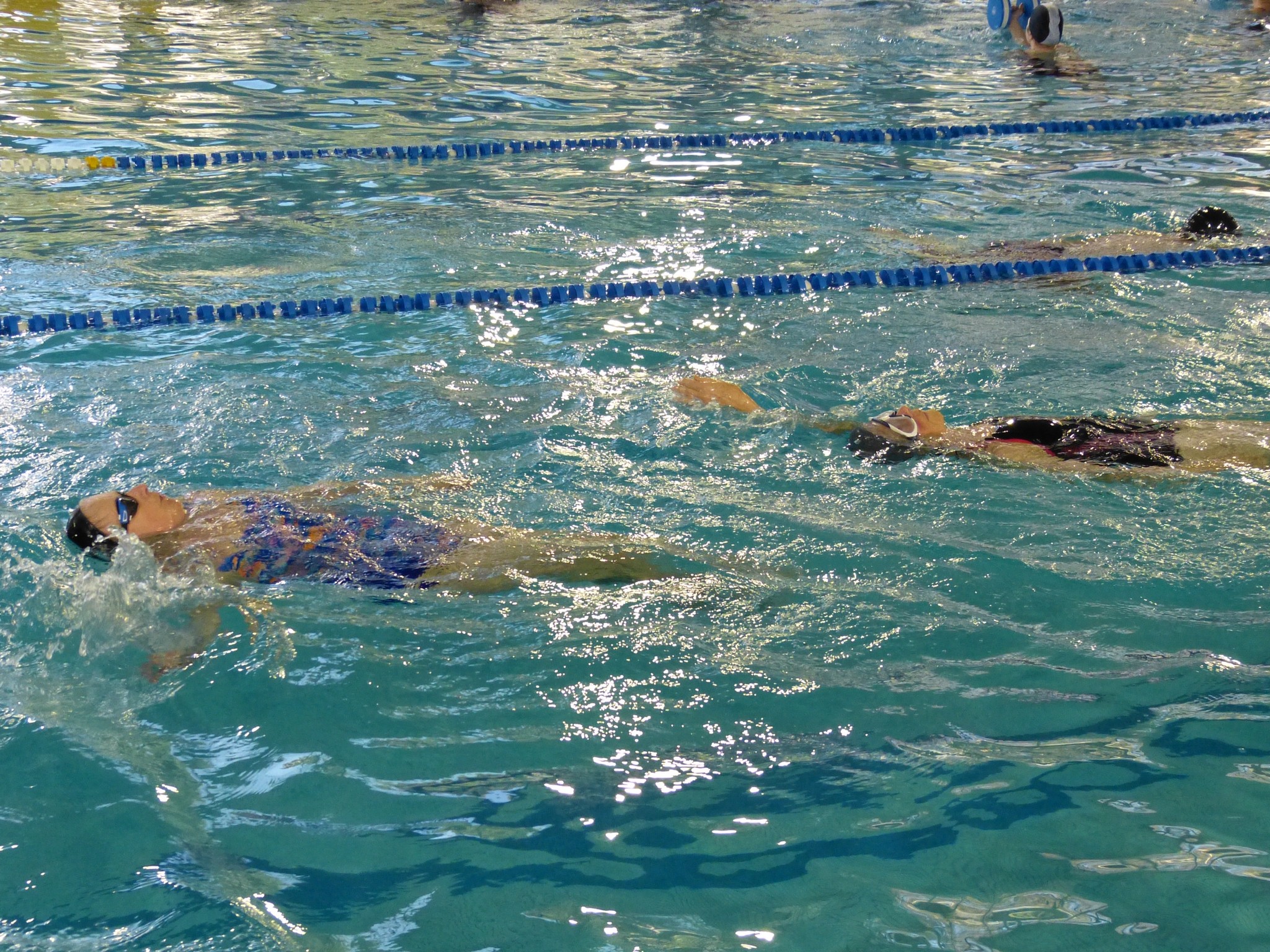 : maitriser la nage ventrale ou dorsale - ORB 29